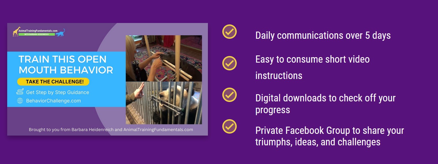 Behavior Challenge | Animal Training Fundamentals